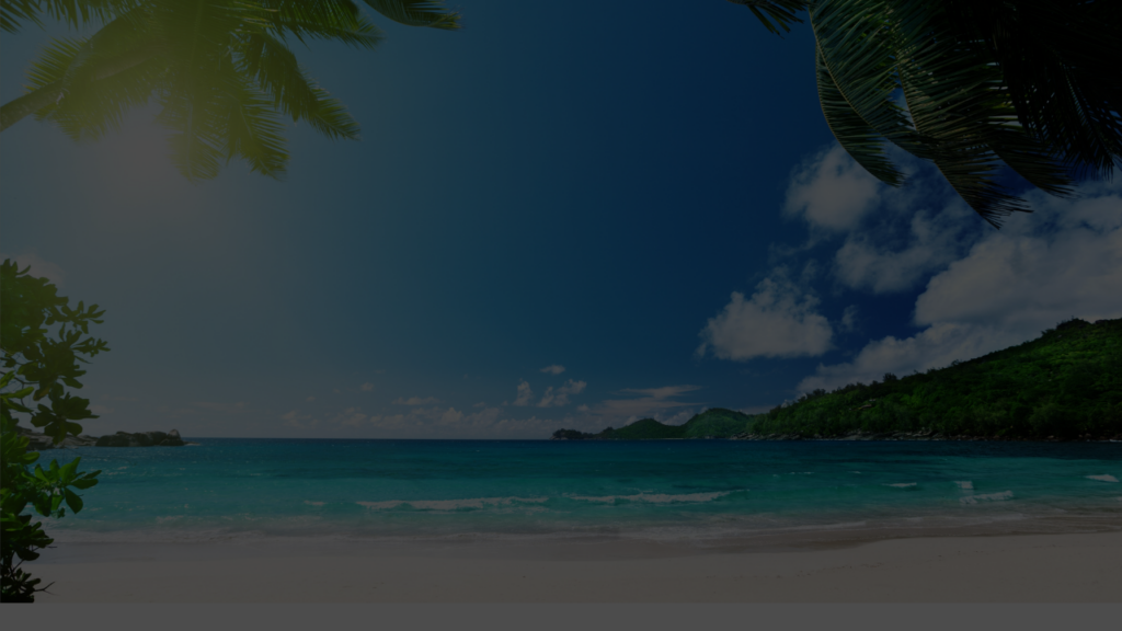 Tropical Happiness Zoom Virtual Background (3)